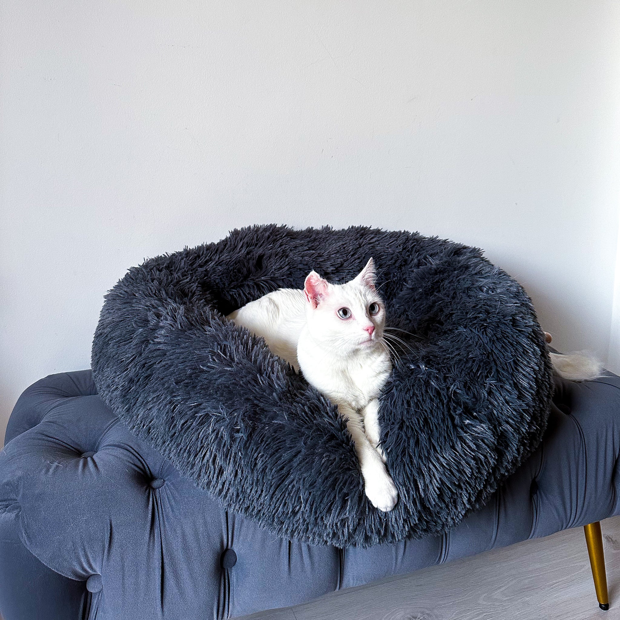 The Zen Nest For Cats | The Mutt Studio